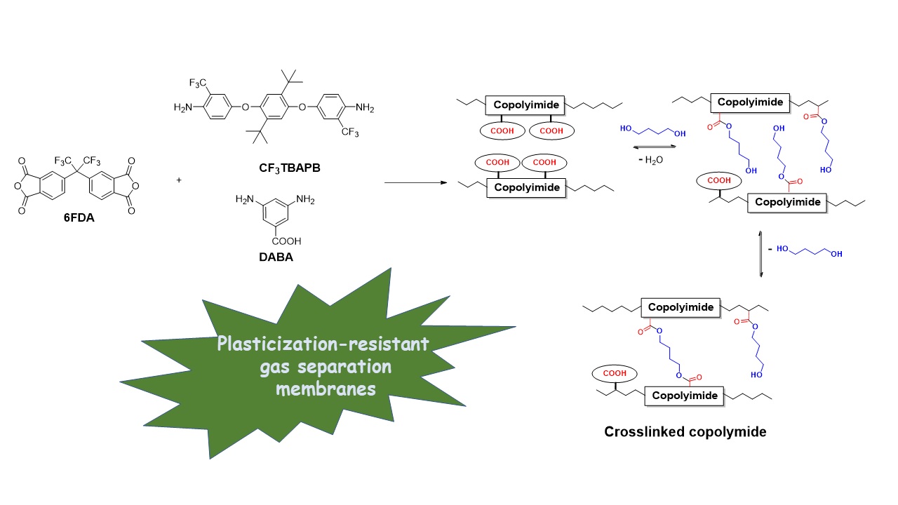 Aromatic Polyimide Membranes with Tert-Butyl and Carboxylic Side Groups ...