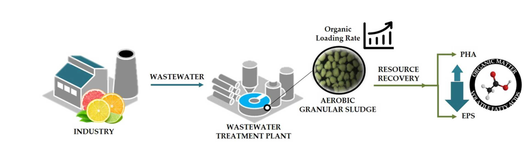 Biopolymers Recovery from Aerobic Granular Sludge Treating Industrial ...