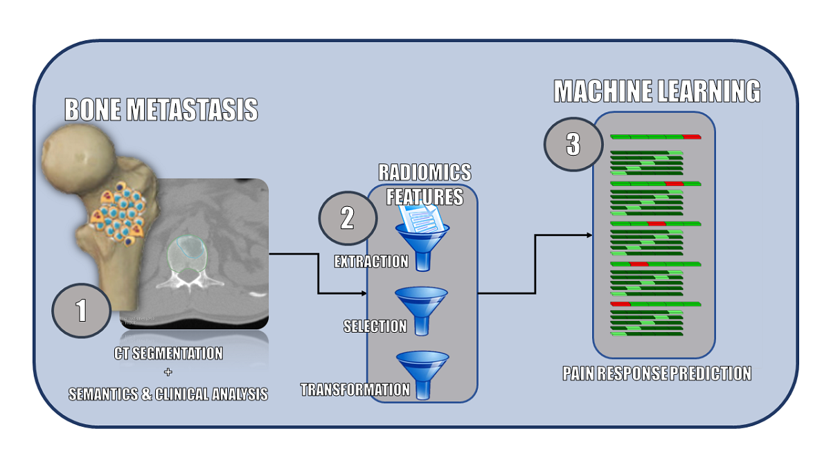 Machine Learning based Prediction of Pain Response to Palliative ...