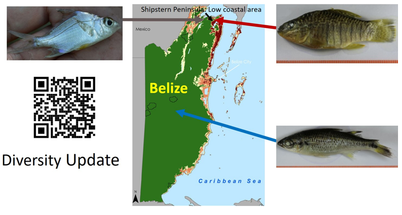 Diversity and Parasitic Load of Freshwater Fish of the Shipstern ...