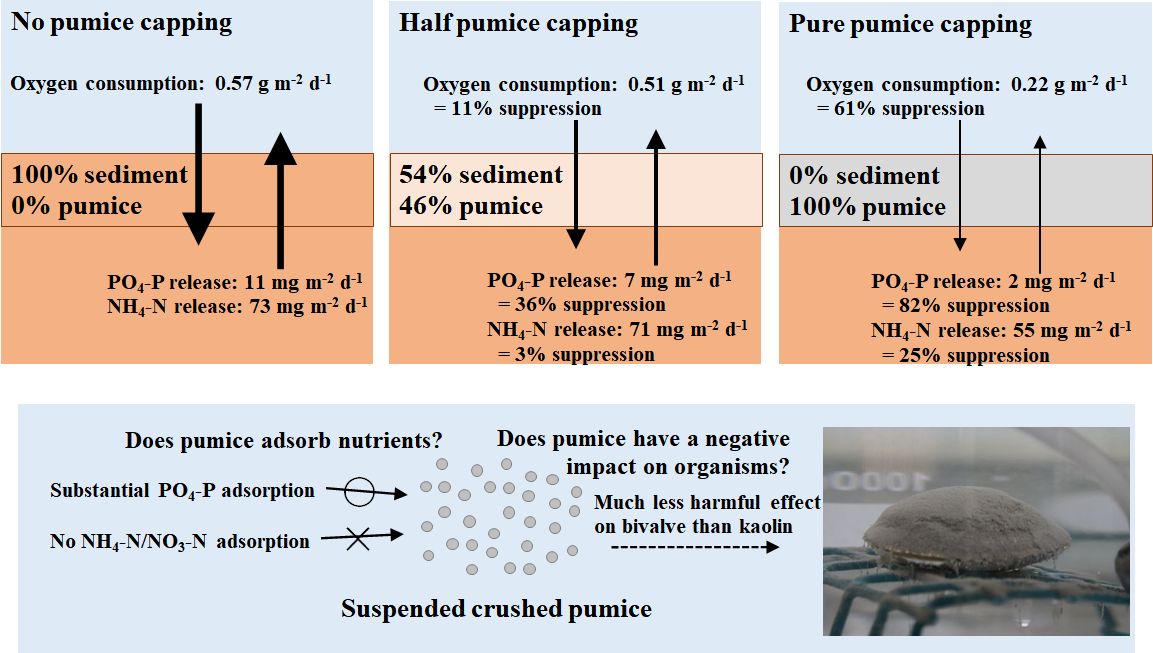Application of Drifted Pumice Stone as a Sand-Capping Material[v1 ...