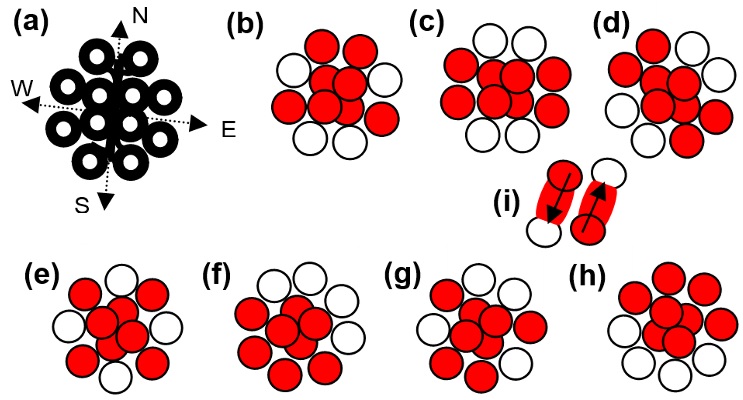 Atomic Structure and Binding of Carbon Atoms[v16] | Preprints.org