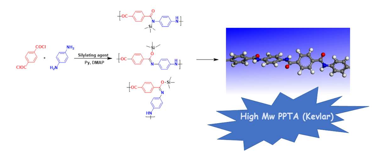 New Insights in the Synthesis of High Molecular Weight Aromatic ...