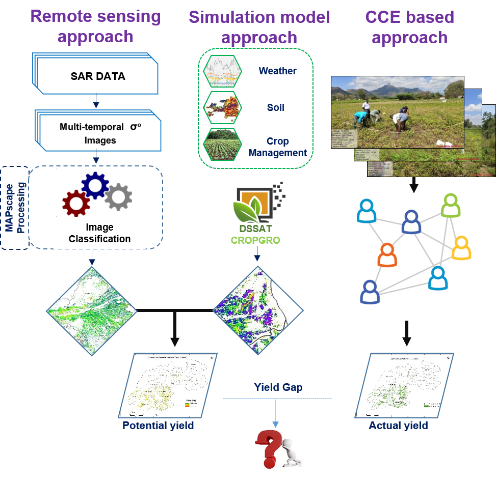 Integrating Synthetic Aperture Radar (SAR) Sentinel 1A and CROPGRO ...
