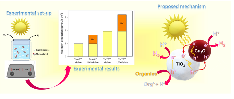 Visible – Light Driven Systems: Effect of the Parameters Affecting ...