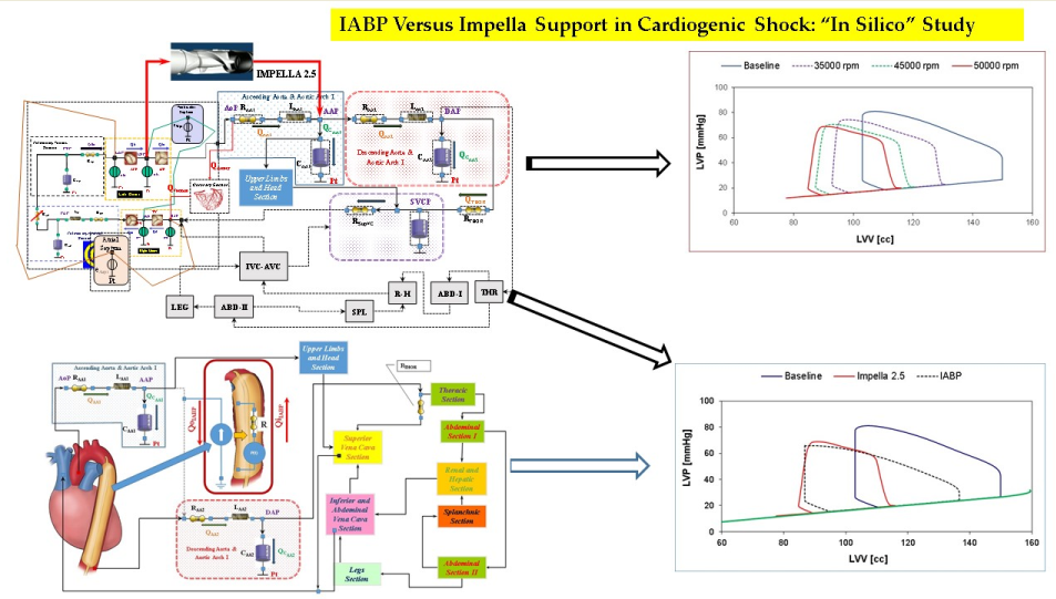 IABP Versus Impella Support in Cardiogenic Shock: “In Silico” Study[v1 ...