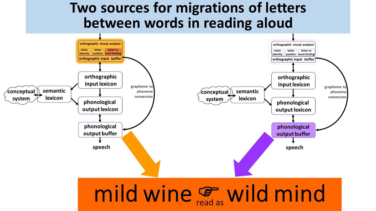 Letter Migrations between Words in Reading Aloud Can Result Either from ...