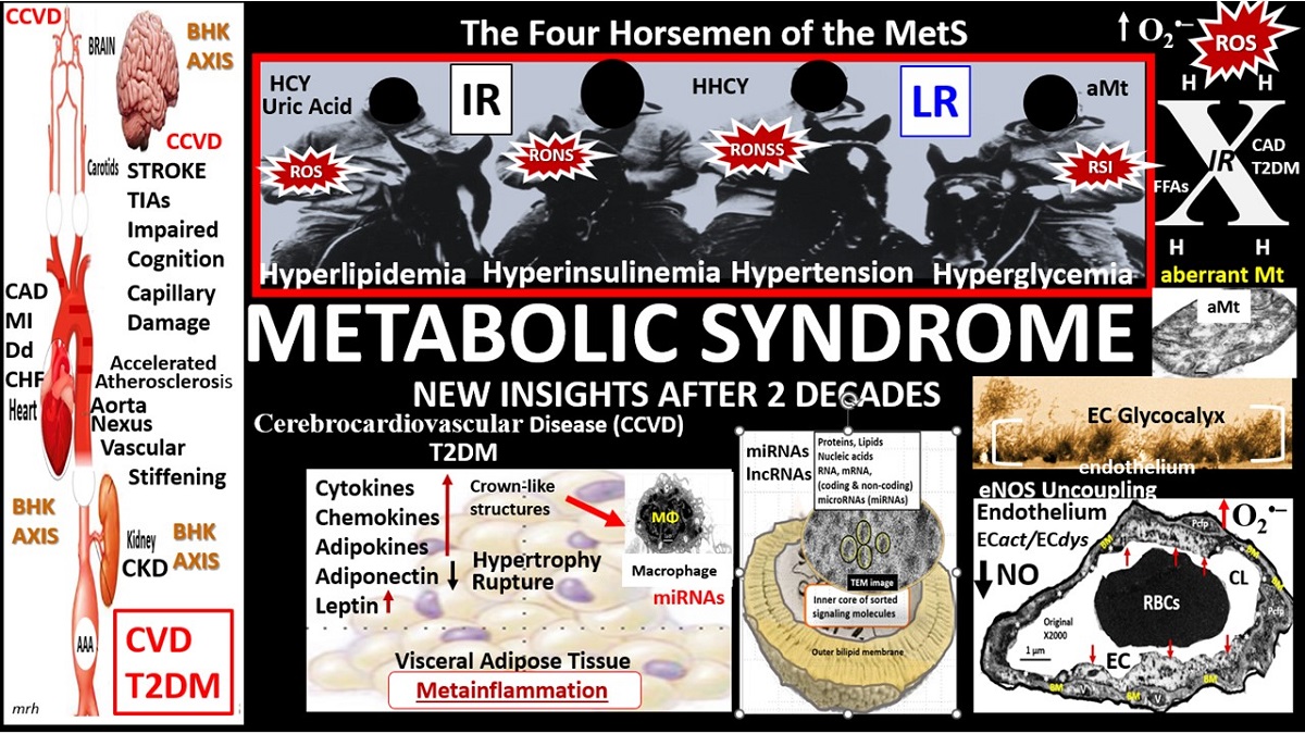 Overview and New Insights into the Metabolic Syndrome: Risk Factors and Emerging Variables in ...
