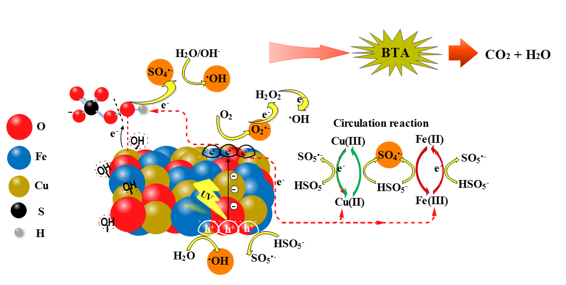 Synergetic Photocatalytic Peroxymonosulfate Oxidation of Benzotriazole ...