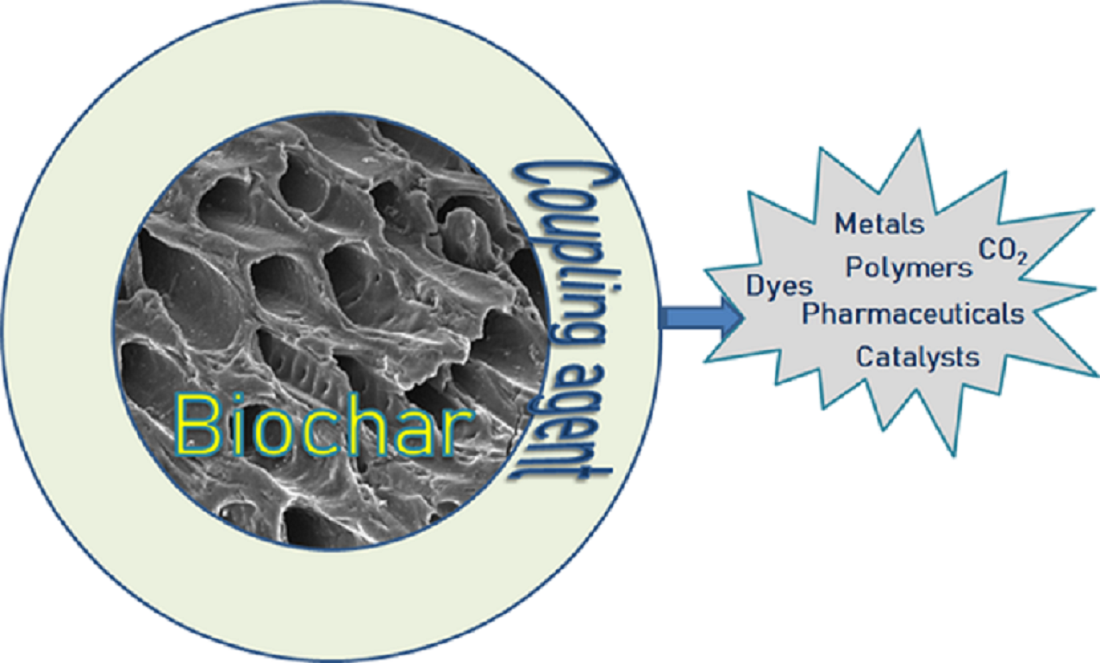 Surface Treatment of Biochar: Methods, Surface Analysis and Potential ...