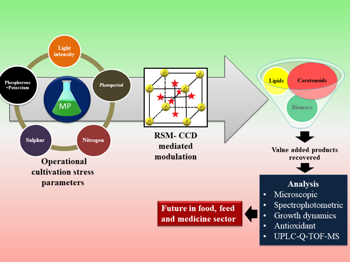 Combinatorial Effect of Multiple Variables on Carotenoids and Lipids Up-Regulation in ...