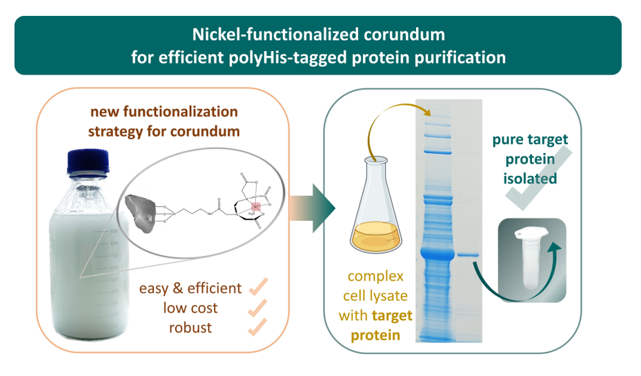 Efficient Purification of Polyhistidine-Tagged Recombinant Proteins ...