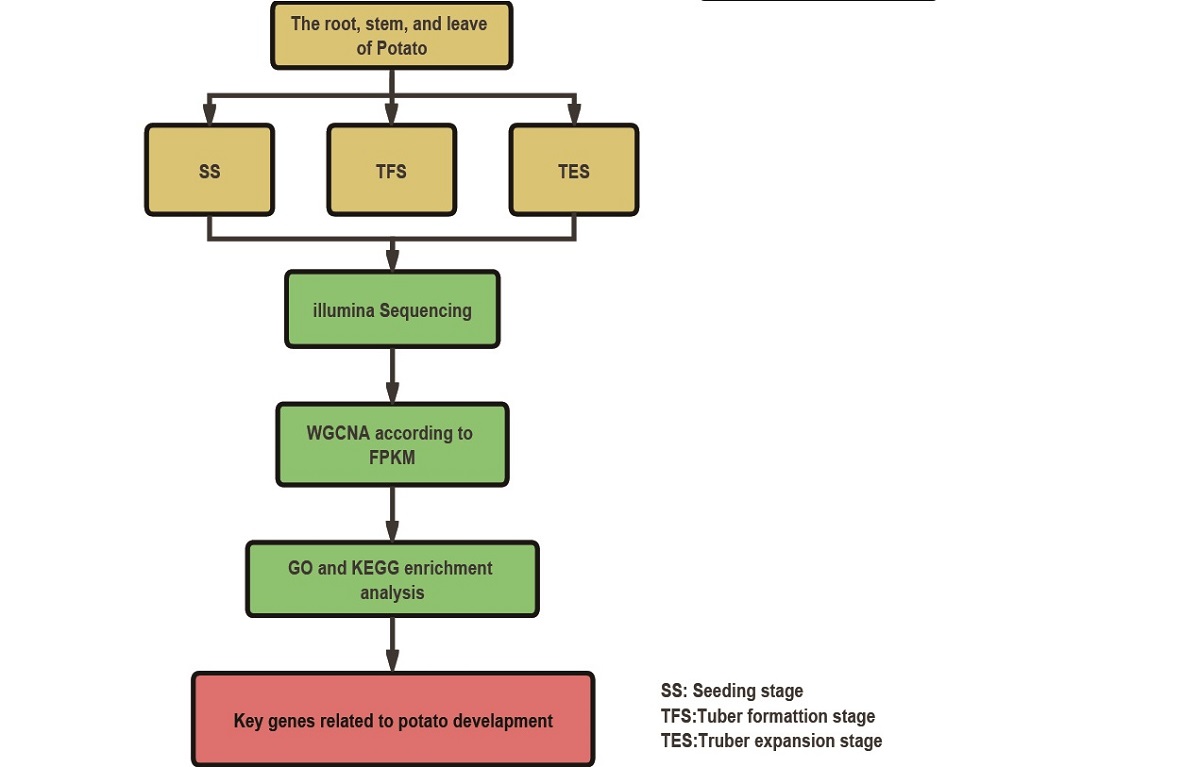 WGCNA Identifies a Comprehensive Gene Co-Expression Network Associated ...