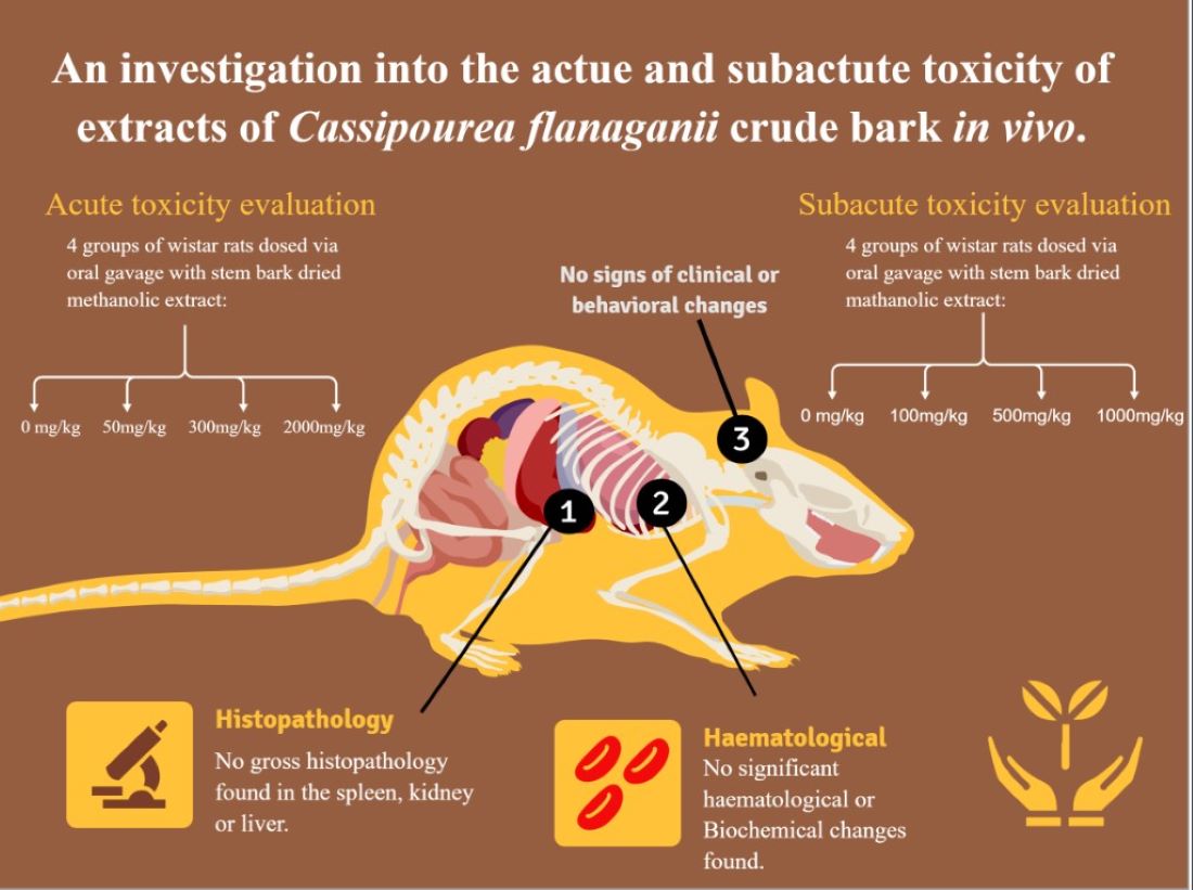 An Investigation into The Acute and Subacute Toxicity of Extracts of ...
