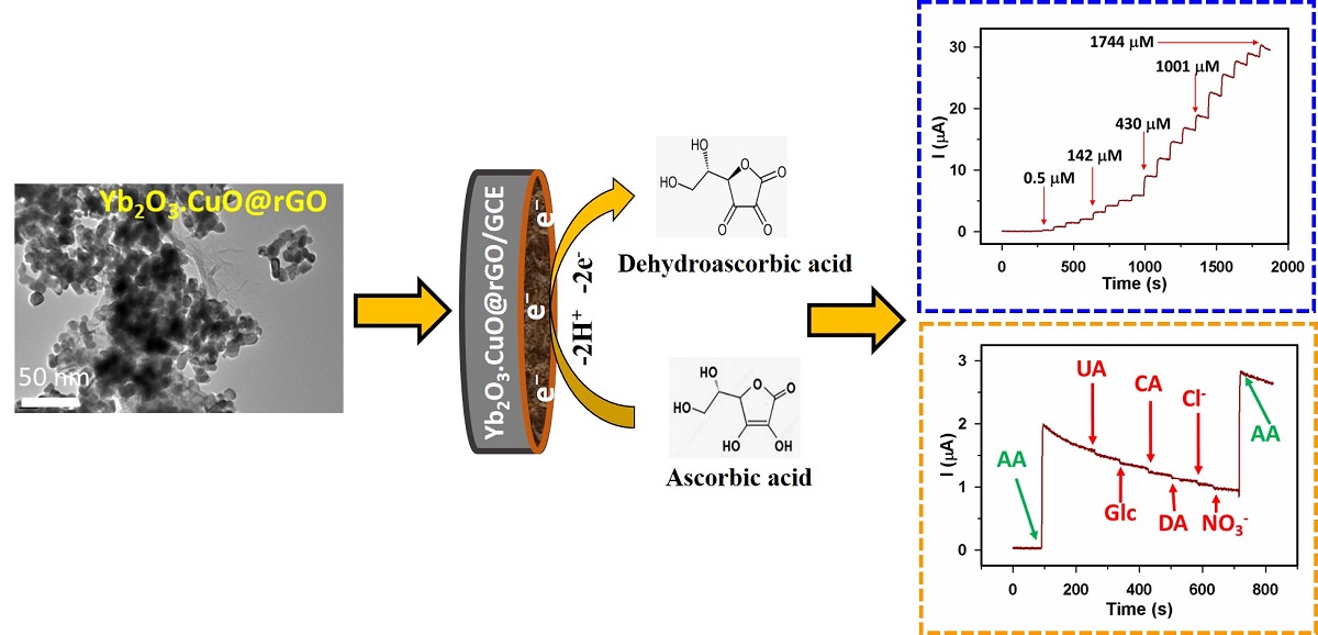 Low Overpotential Amperometric Sensor using Yb2O3.CuO@rGO Nanocomposite ...