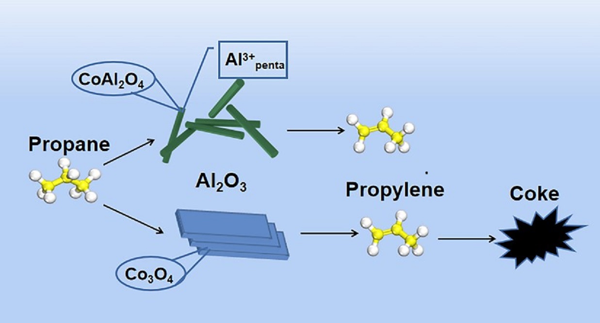 Al2O3 Nanorod With Rich Pentacoordinate Al3+ Sites Stabilizing Co2+ for ...