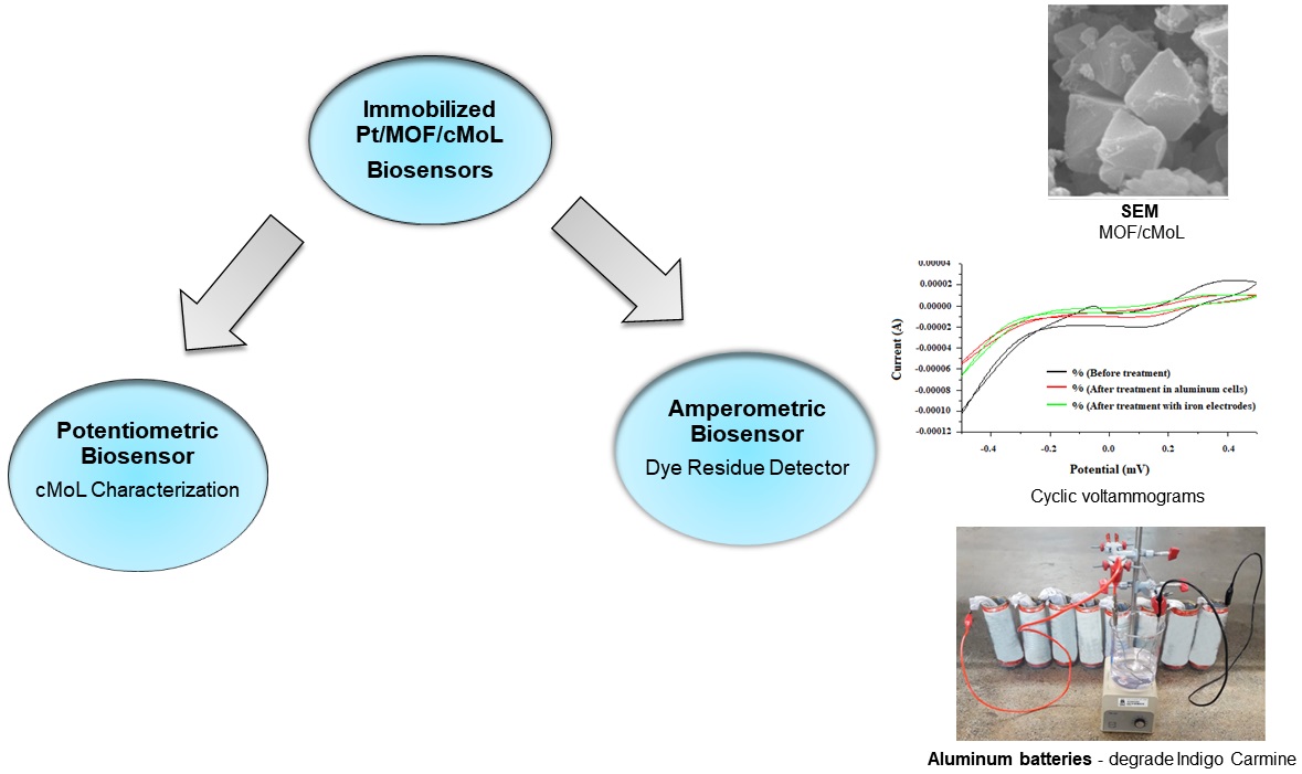 Electrochemical Characterization and Biosensors with the Coagulant ...
