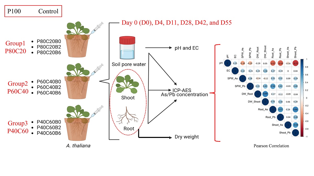 Positive Effects of the Combined Application of Compost and Biochar on ...