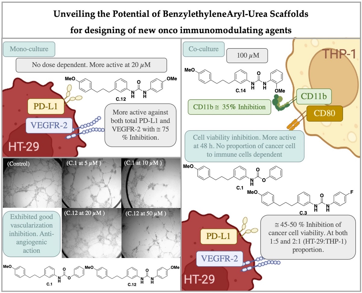 Unveiling the Potential of BenzylethyleneAryl-Urea Scaffolds for ...