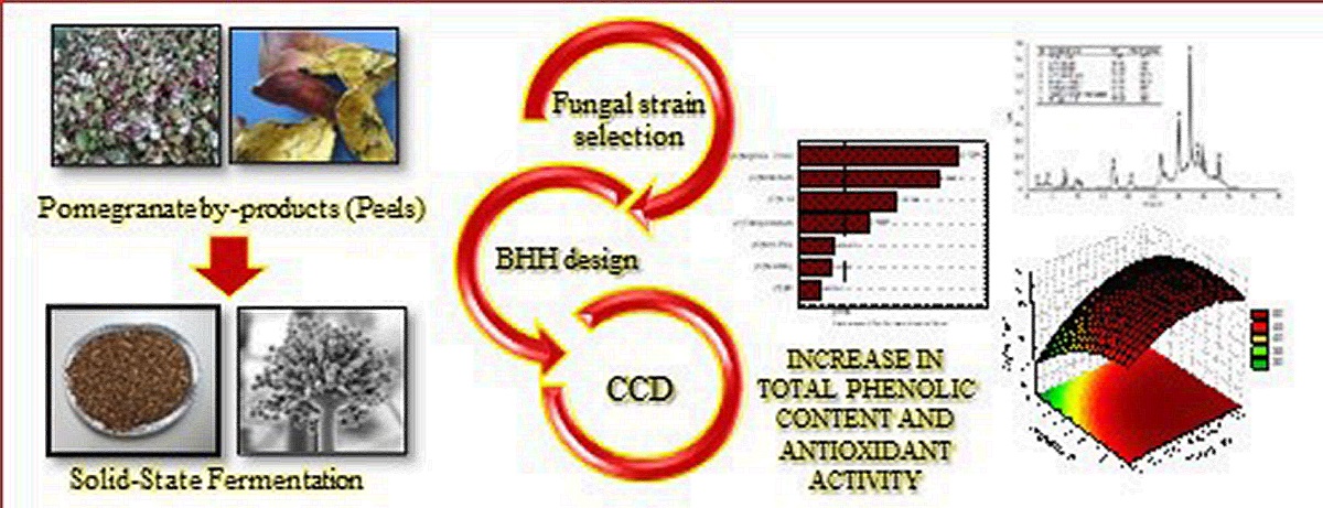 Improved Extraction of High Value-Added Polyphenols from Pomegranate ...