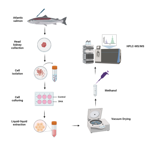 Development of a Liquid-Liquid Extraction Method to Study the Temporal ...