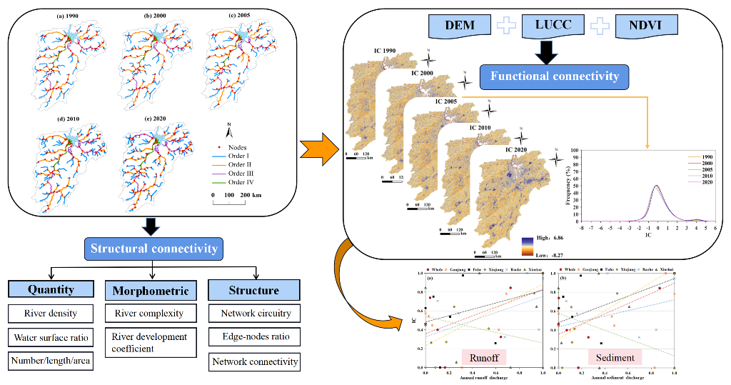 Characteristics and Evolution of Structural and Functional Connectivity ...
