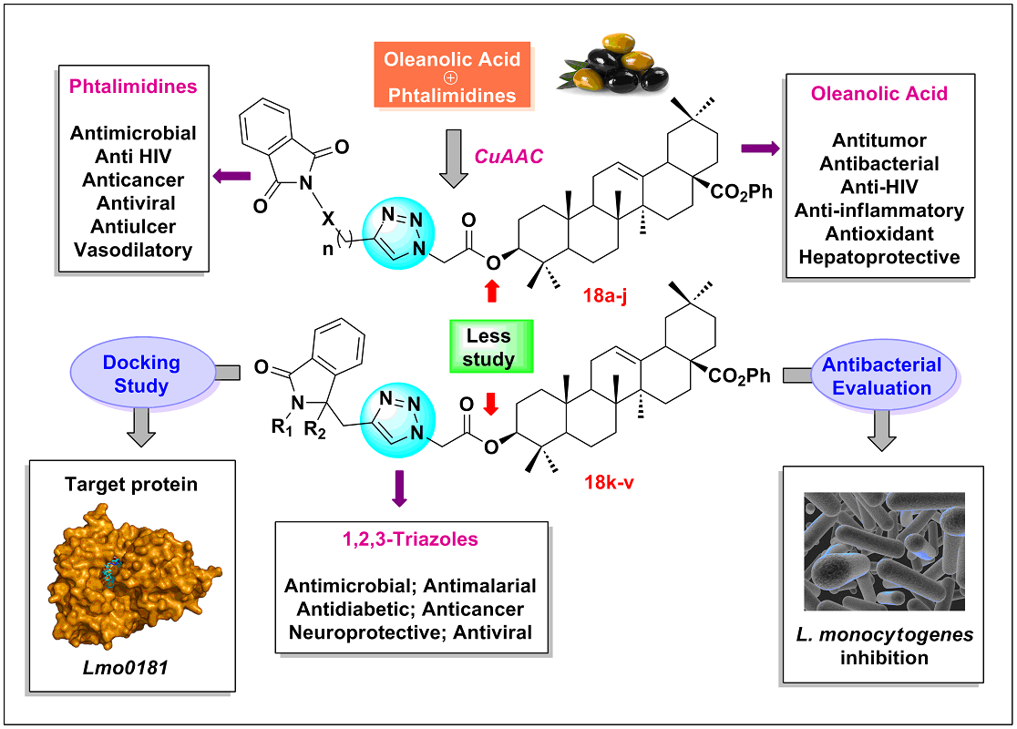 Novel Oleanolic Acid-Phtalimidines Tethered 1,2, 3 Triazole Hy-Brids As Promising Antibacterial ...