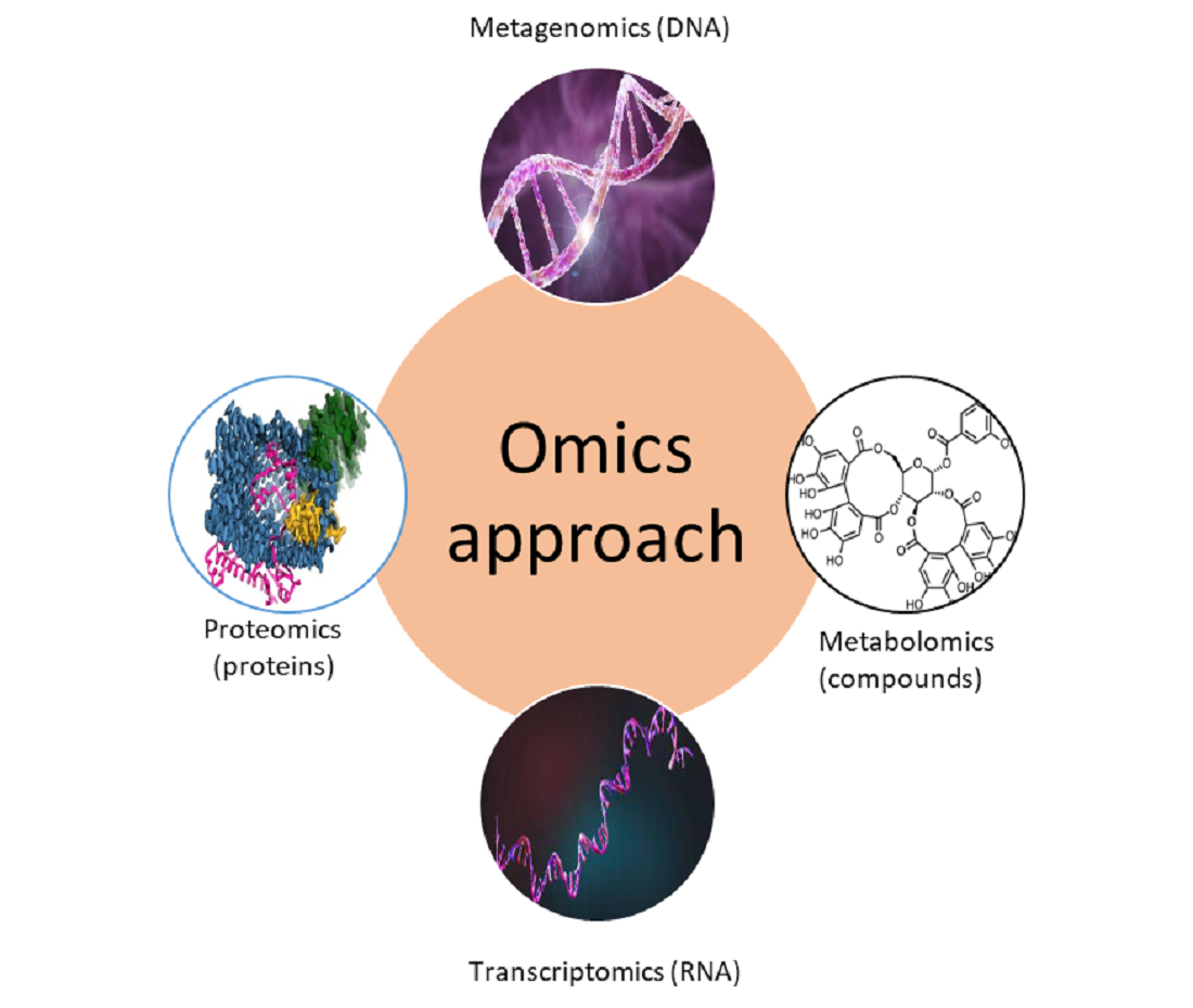 “Omics” Techniques Used in Marine Biofouling Studies[v1] | Preprints.org