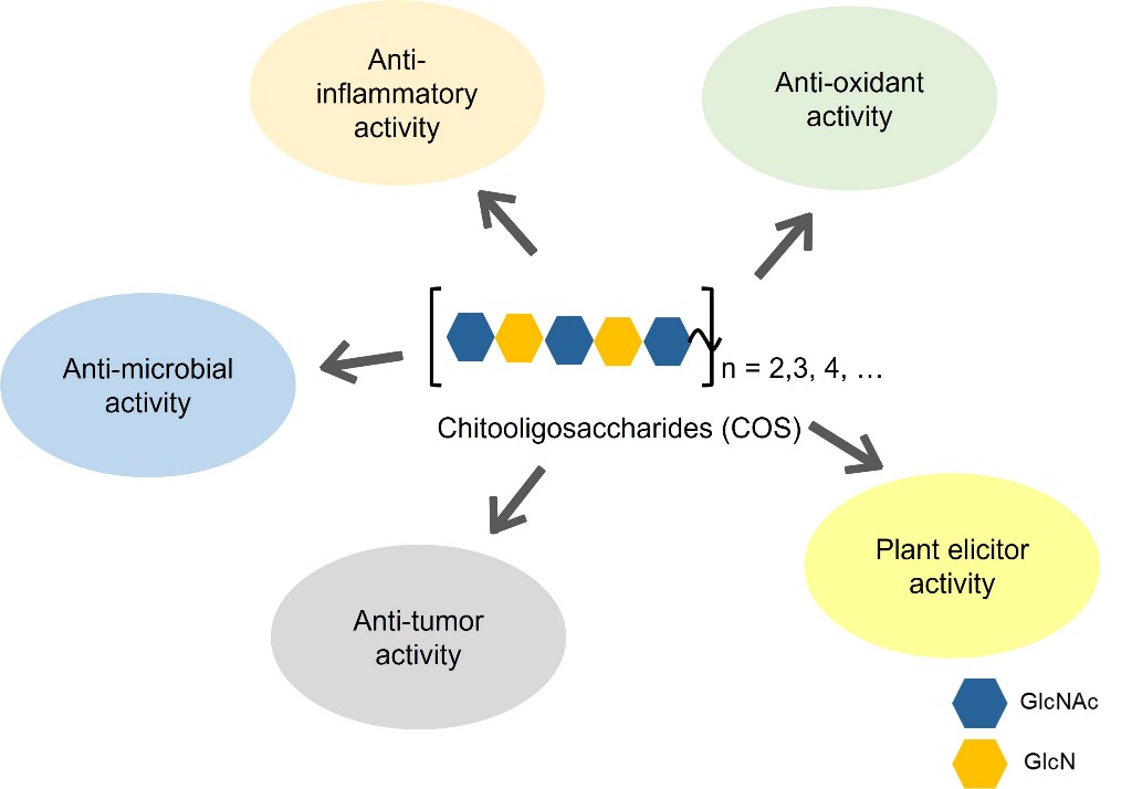 Green-Chemical Strategies for Production of Tailor-made ...