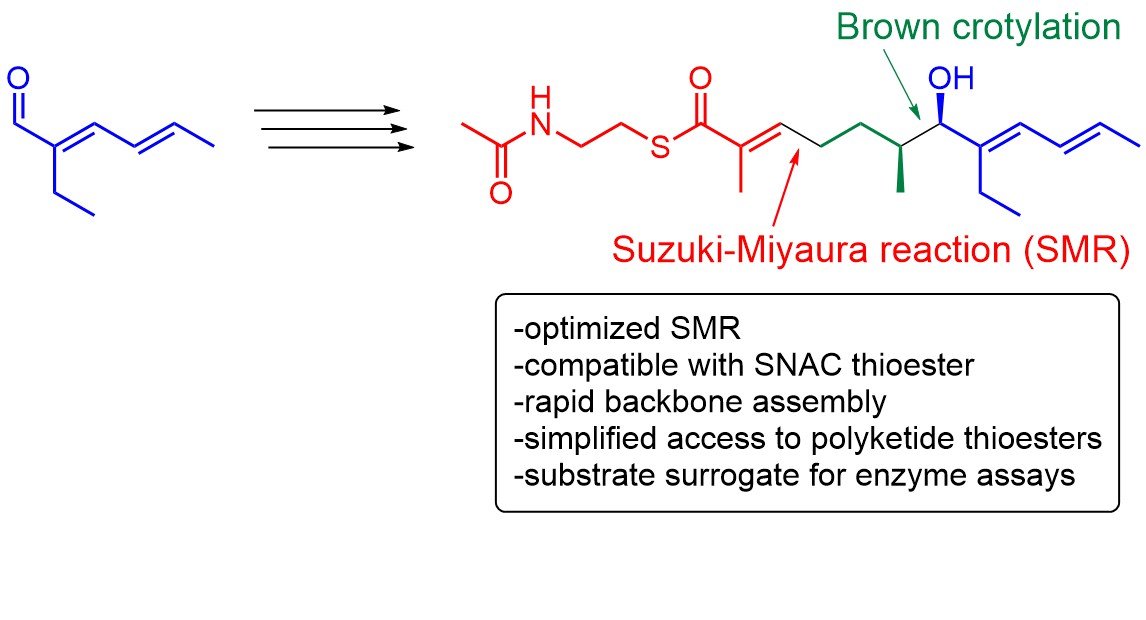 Suzuki-Miyaura Reaction in the Presence of N-Acetylcysteamine ...