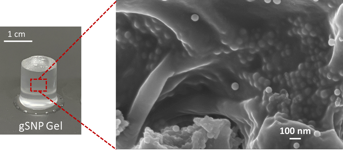 Nanocomposite Hydrogels with Polymer-Grafted Silica Nanoparticles ...