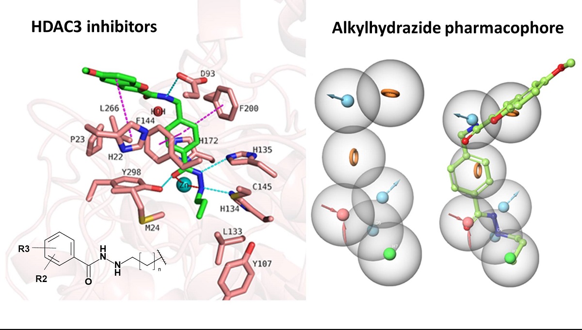 Application of Ligand- and Structure-Based Prediction Models for the ...