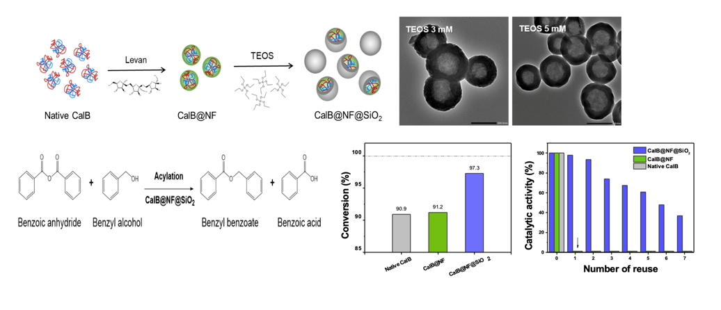 Thermally Stable and Reusable Silica and Nano-fructosome Encapsulated ...