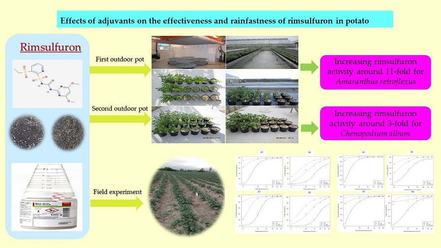 Effects of Adjuvants on the Effectiveness and Rainfastness of ...