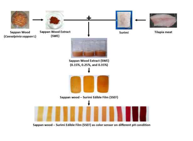 Development of Bio-Based Color Sensor from Myofibrillar Protein–Based ...