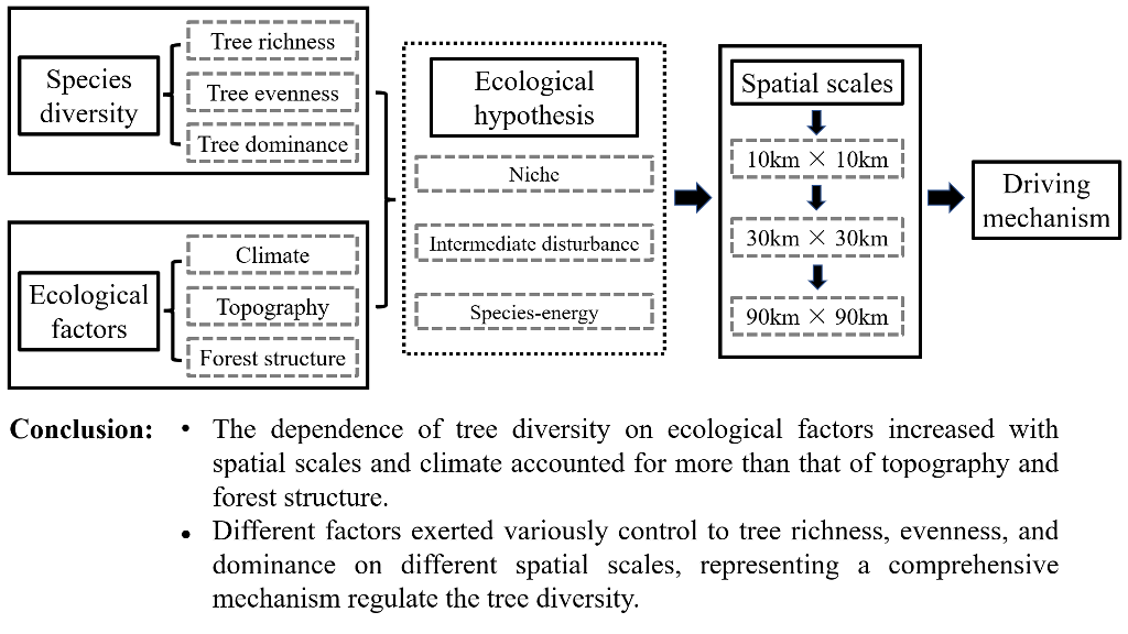 Ecological Factors Driving Tree Diversity across Spatial Scales in ...