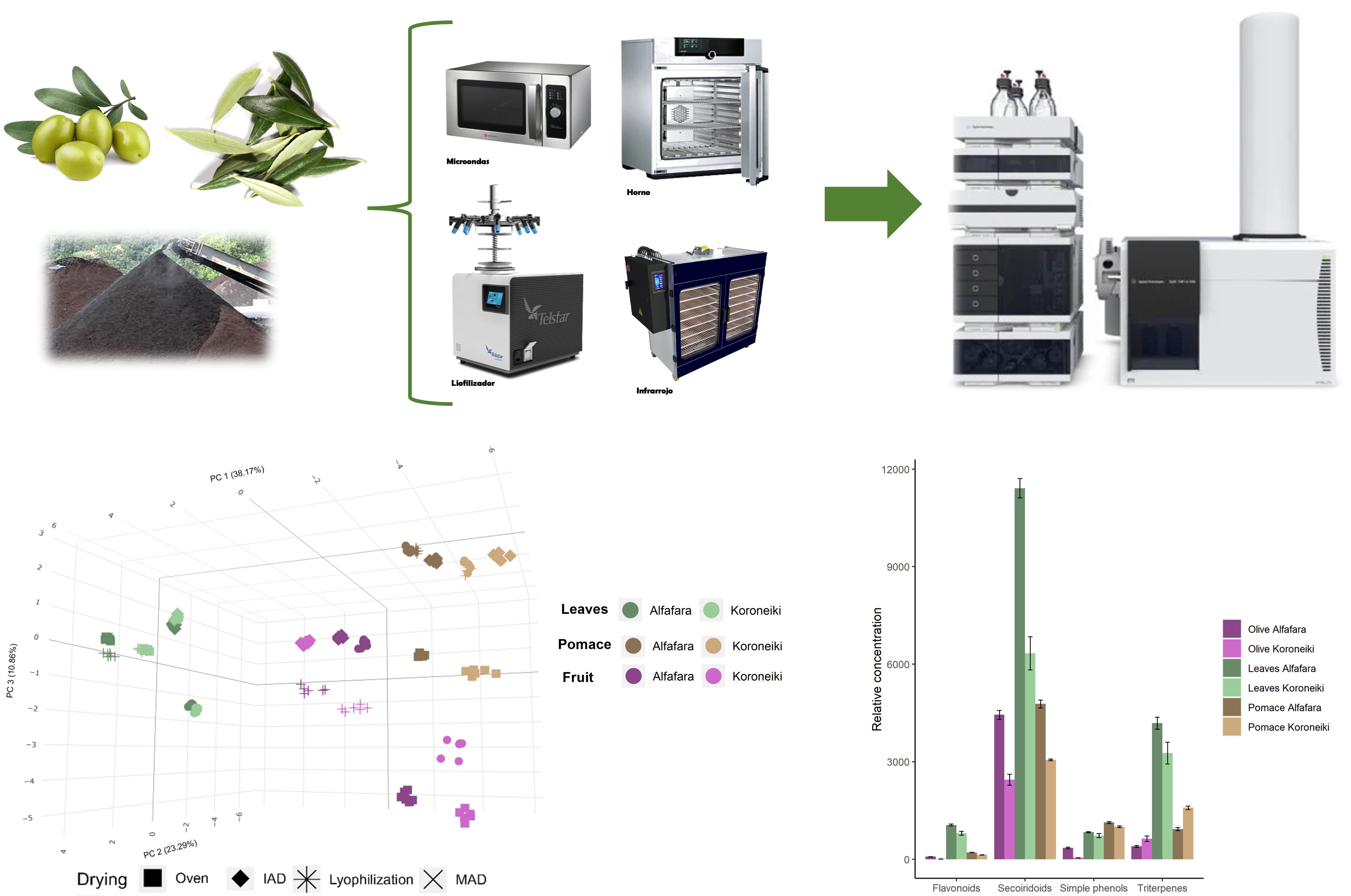 Comparison of Drying Techniques for Extraction of Bioactive Compounds ...