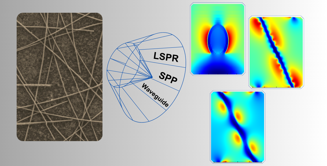 Synergistic Effects of LSPR, SPP, and Waveguide Plasmonic Resonance on ...