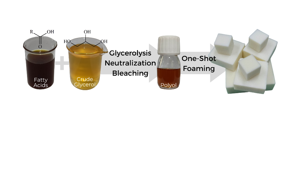 Production of Bio-based Polyol from Coconut Fatty Acid Distillate (CFAD ...