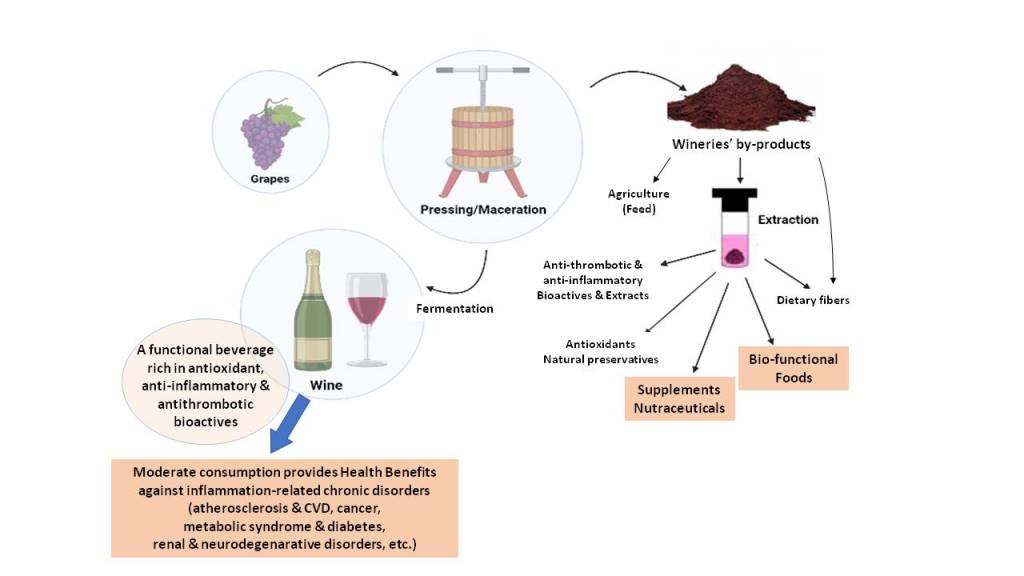 Wine-Making; “with one Stone Two Birds”? A Holistic Review of the Bio ...