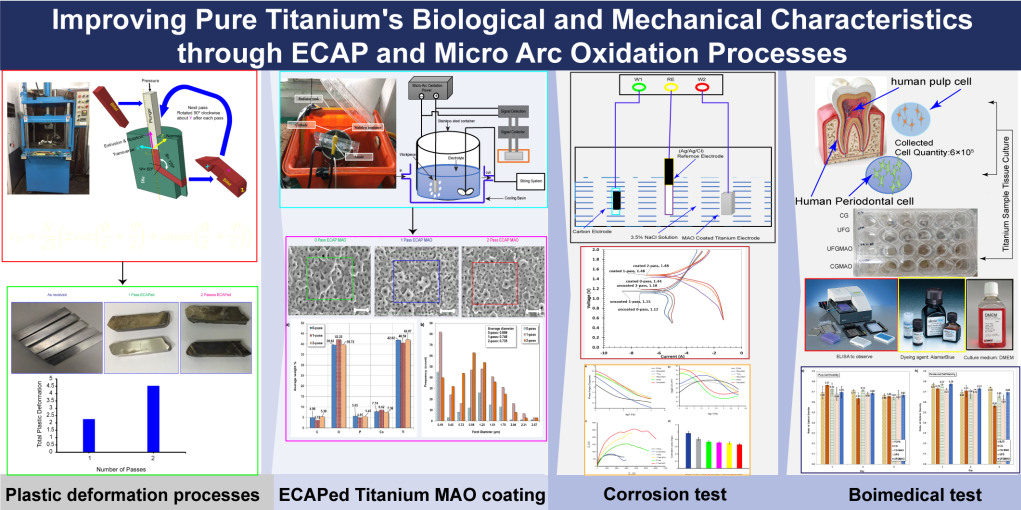 Improving Pure Titanium's Biological and Mechanical Characteristics through ECAP and Micro Arc ...