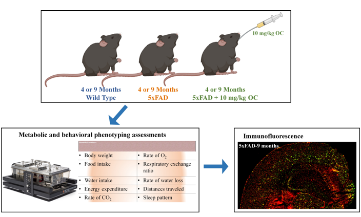 Oleocanthal Ameliorates Metabolic and Behavior Phenotypes in a Mouse ...