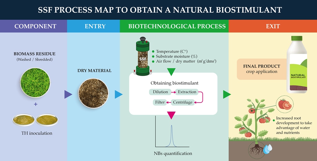Breaking New Ground: Exploring the Promising Role of Solid-State ...