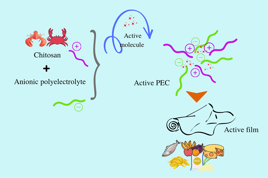 Use of Polyelectrolyte Complexes Chitosan-Based for Its Potential ...