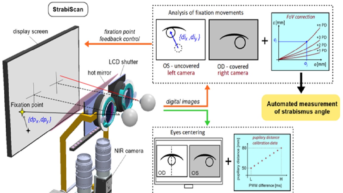 Evaluation of the Usability of the Innovative Strabiscan Device for ...