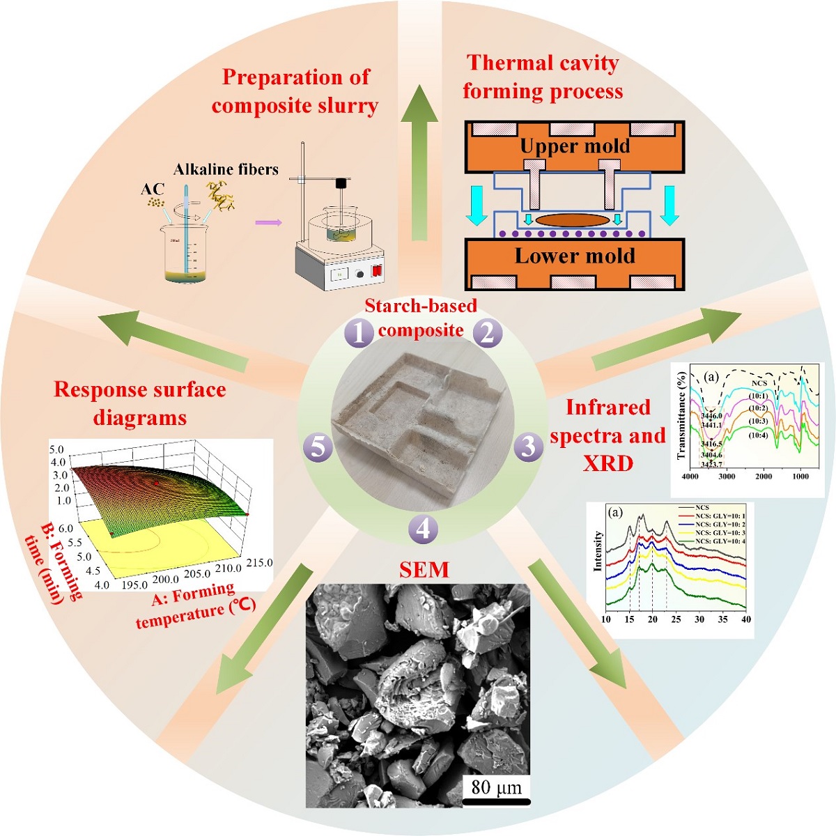 Enhancing Starch-Based Packaging Materials: Optimization of ...