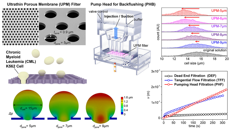 Precise Filtration of Chronic Myeloid Leukemia Cells by an Ultrathin ...