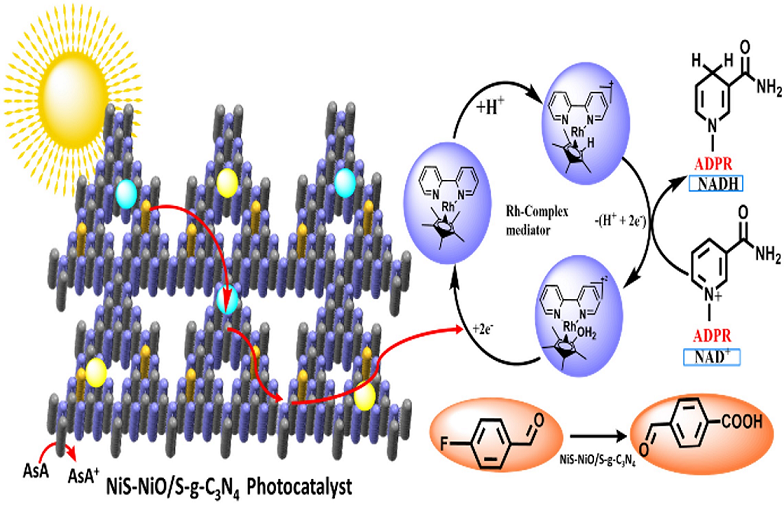 Effortless One-Pot Two-Step Creation of NiS-NiO/S-g-C3N4: The Next ...
