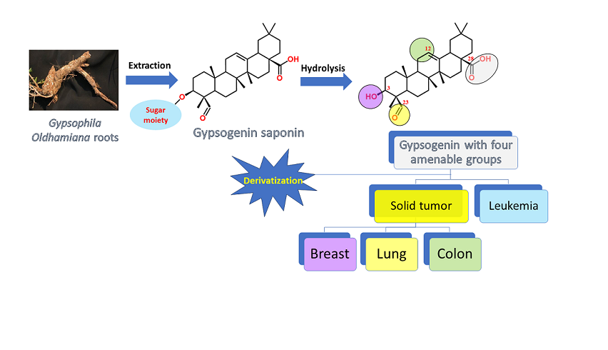 Gypsogenin Fighting for A Position in The Pentacyclic Triter-penes Game ...