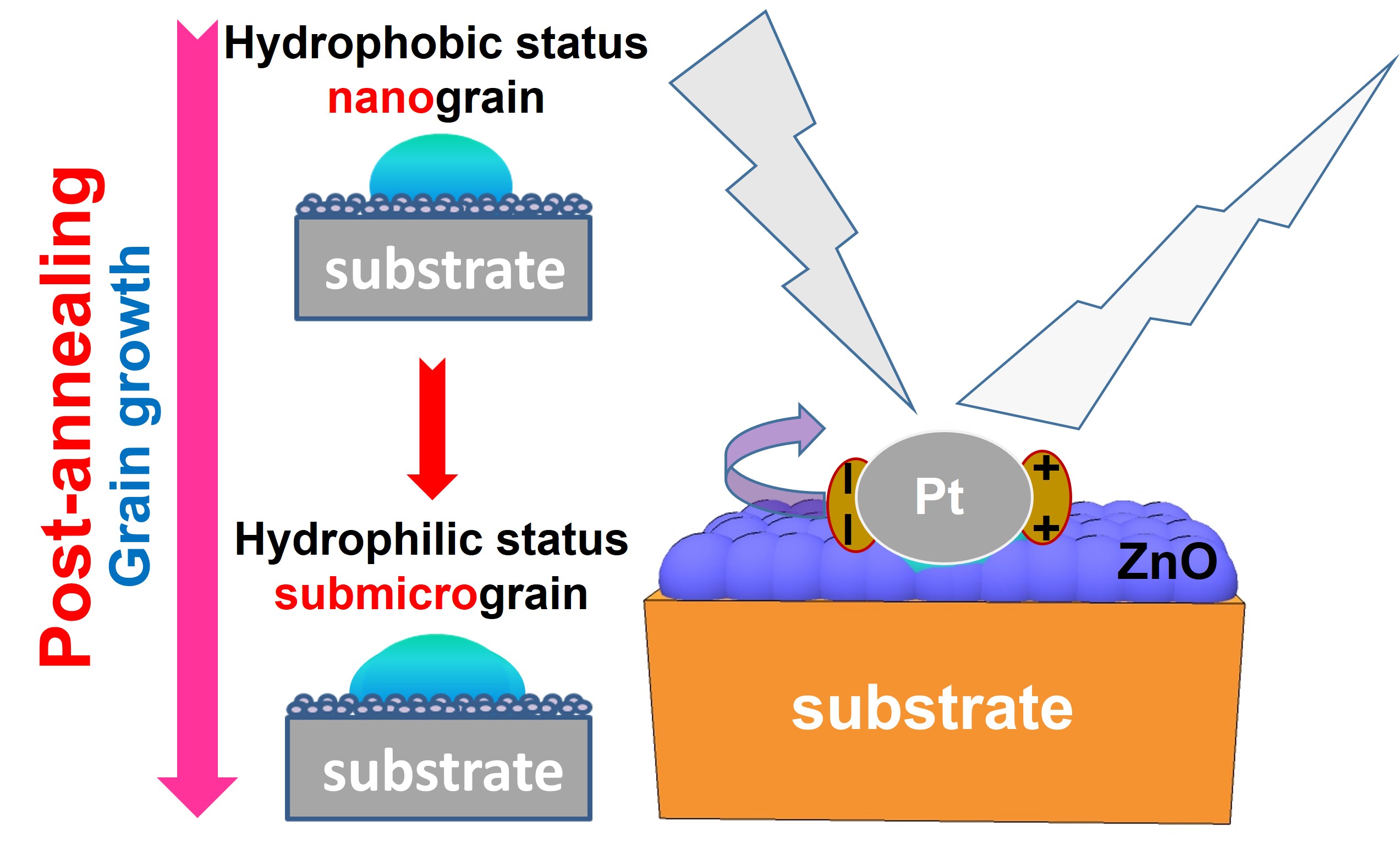 Surface Behavior of ZnO Films Prepared at Room Temperature[v1] | Preprints.org